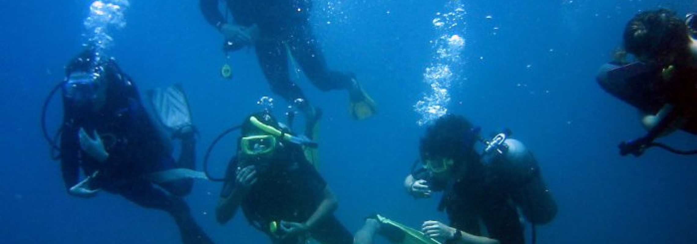 Diving - Smooth Travel